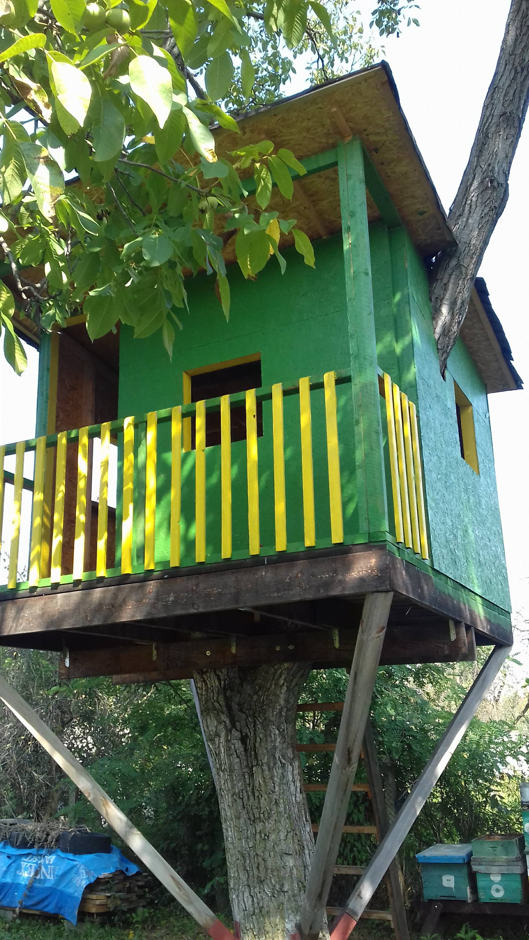 Casa din copac sau Apicultura la inaltime - Miere Filip - 100% cruda ...